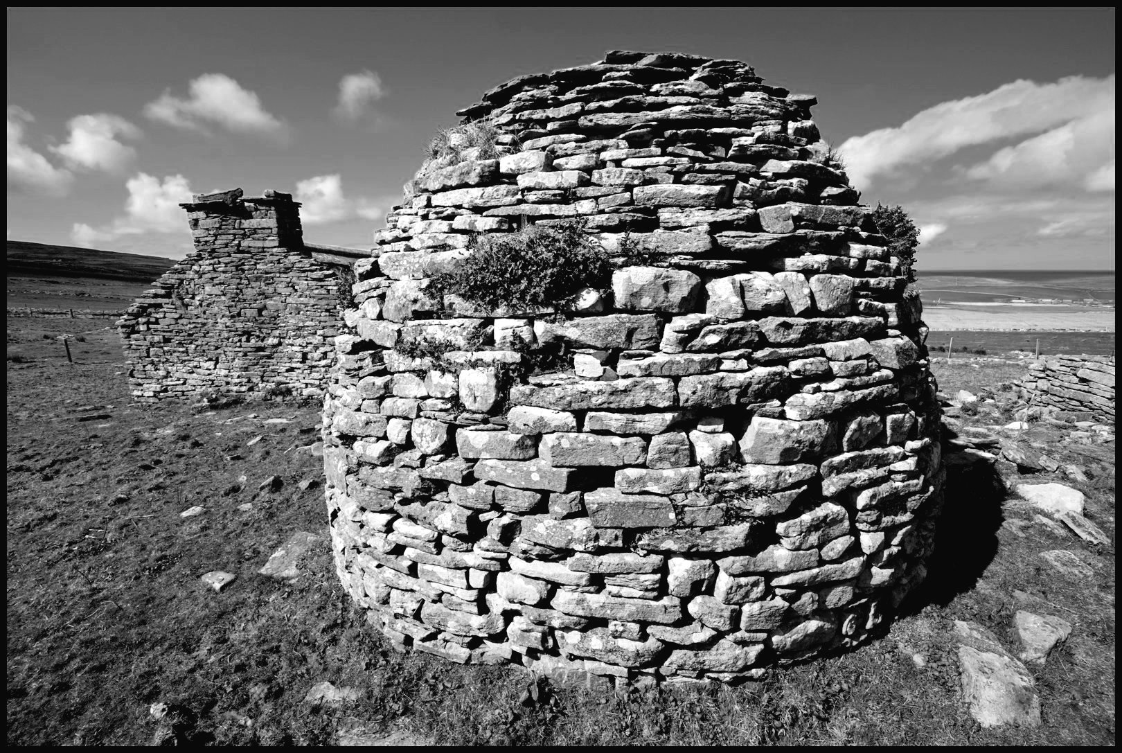 Turbitail - Rousay Remembered