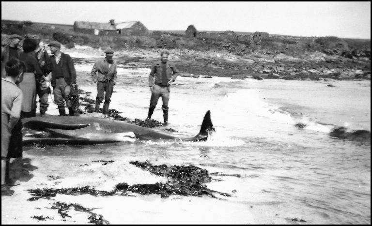 Hammerfield and Rousay - Rousay Remembered